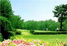 Aoshima Public Golf Center | Air Golf Japan